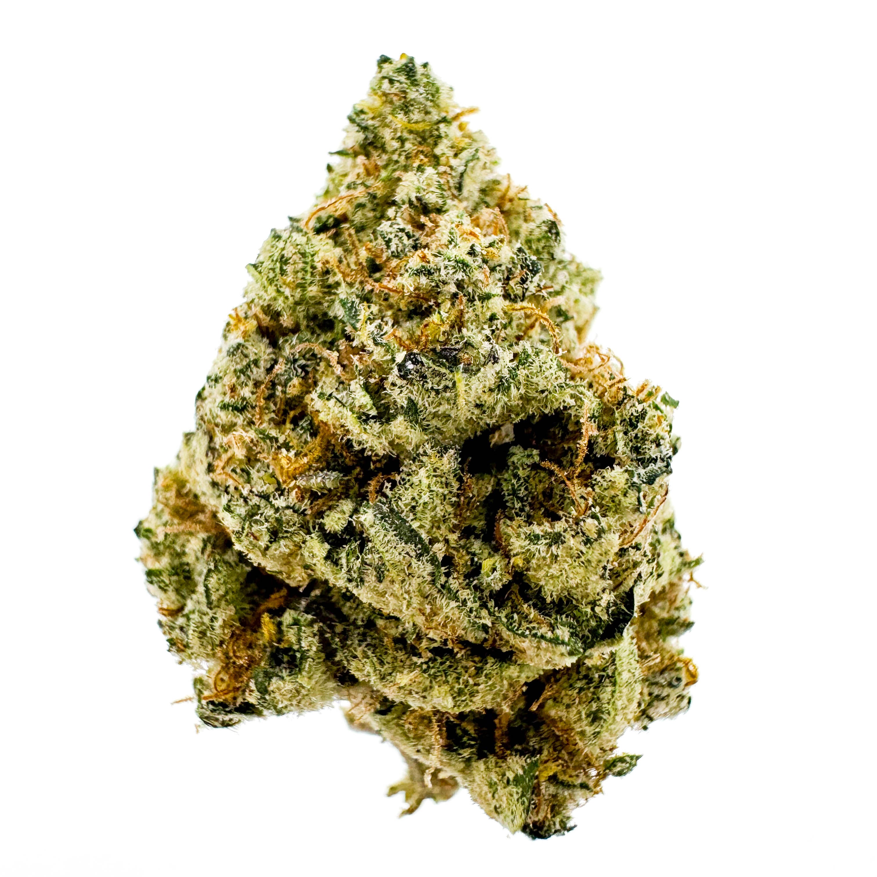 Lemon Grace CBD - Happy Pousse - Fleur CBD Premium – Graine de Lascars
